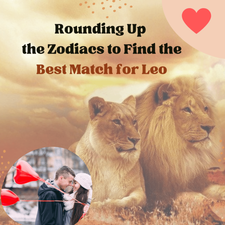 Rounding Up the Zodiacs to Find the Best Match for Leo