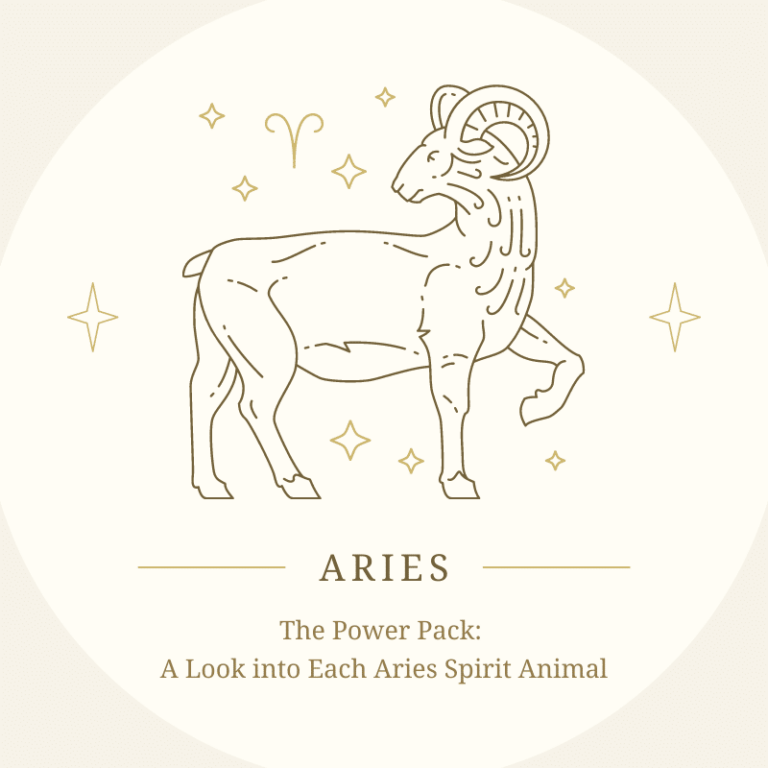 The Power Pack: A Look into Each Aries Spirit Animal - Trusted Astrology